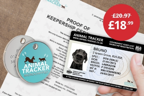 Animal Tracker | Pet Identification