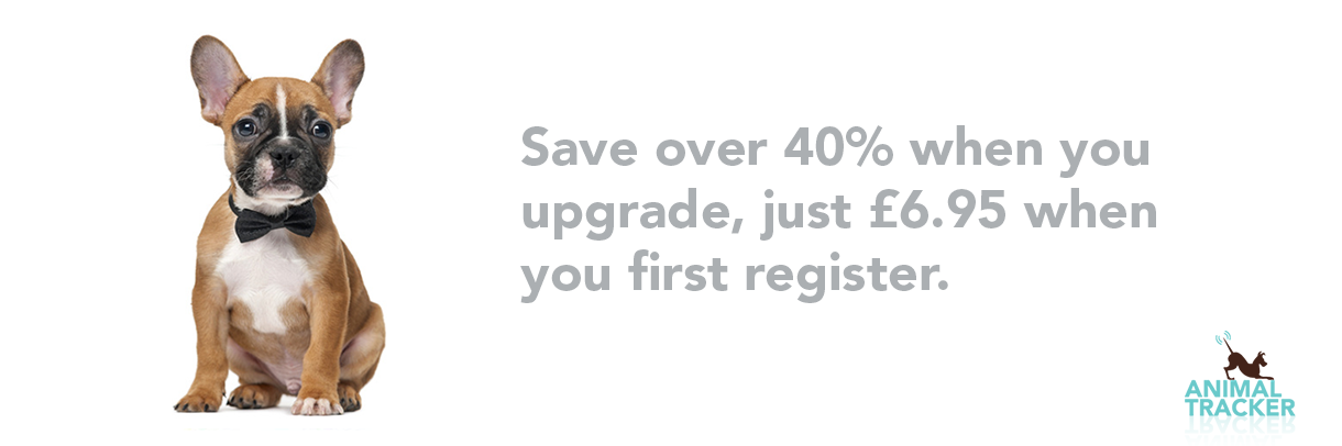 UK Pet Microchip Registration from the approved Animal Tracker Database